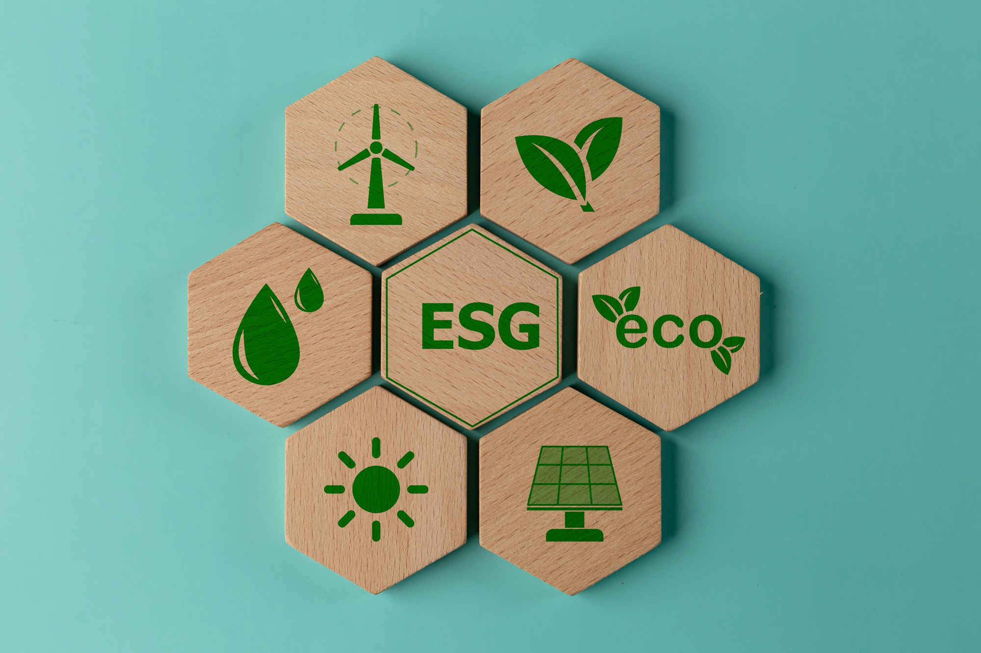 ESG standardi u poslovanju: sve je više društveno odgovornih kompanija ...